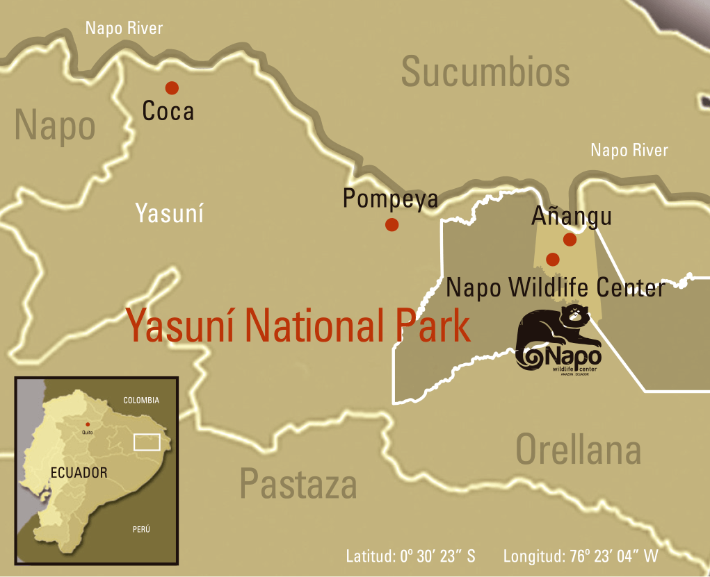 Napo River Map